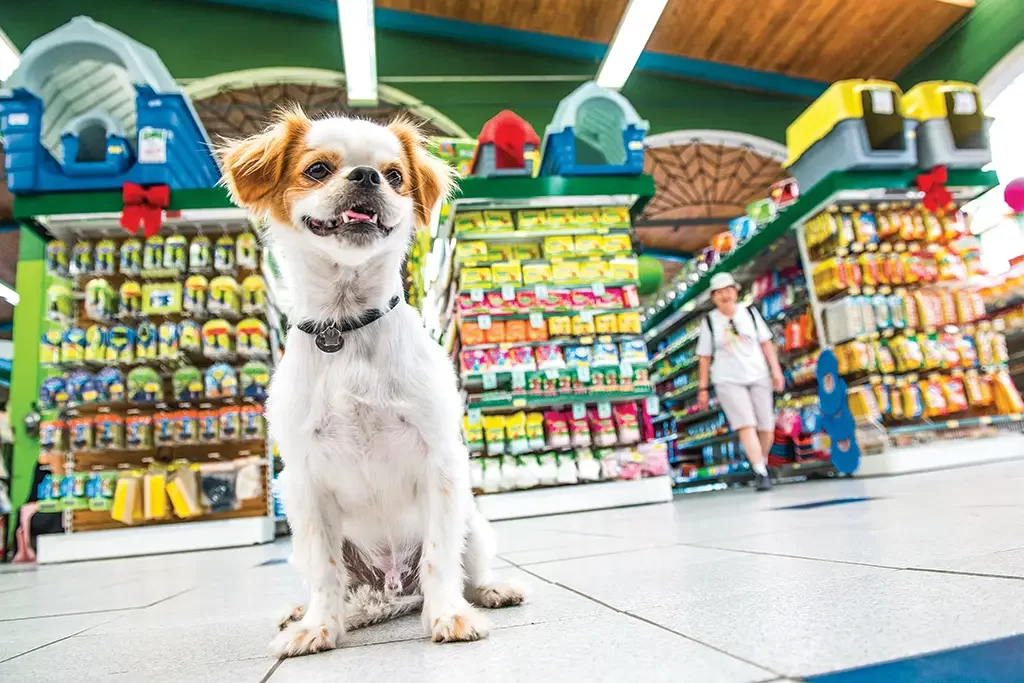 Brasil é top 3 no ranking de mercados pet - Sou Agro