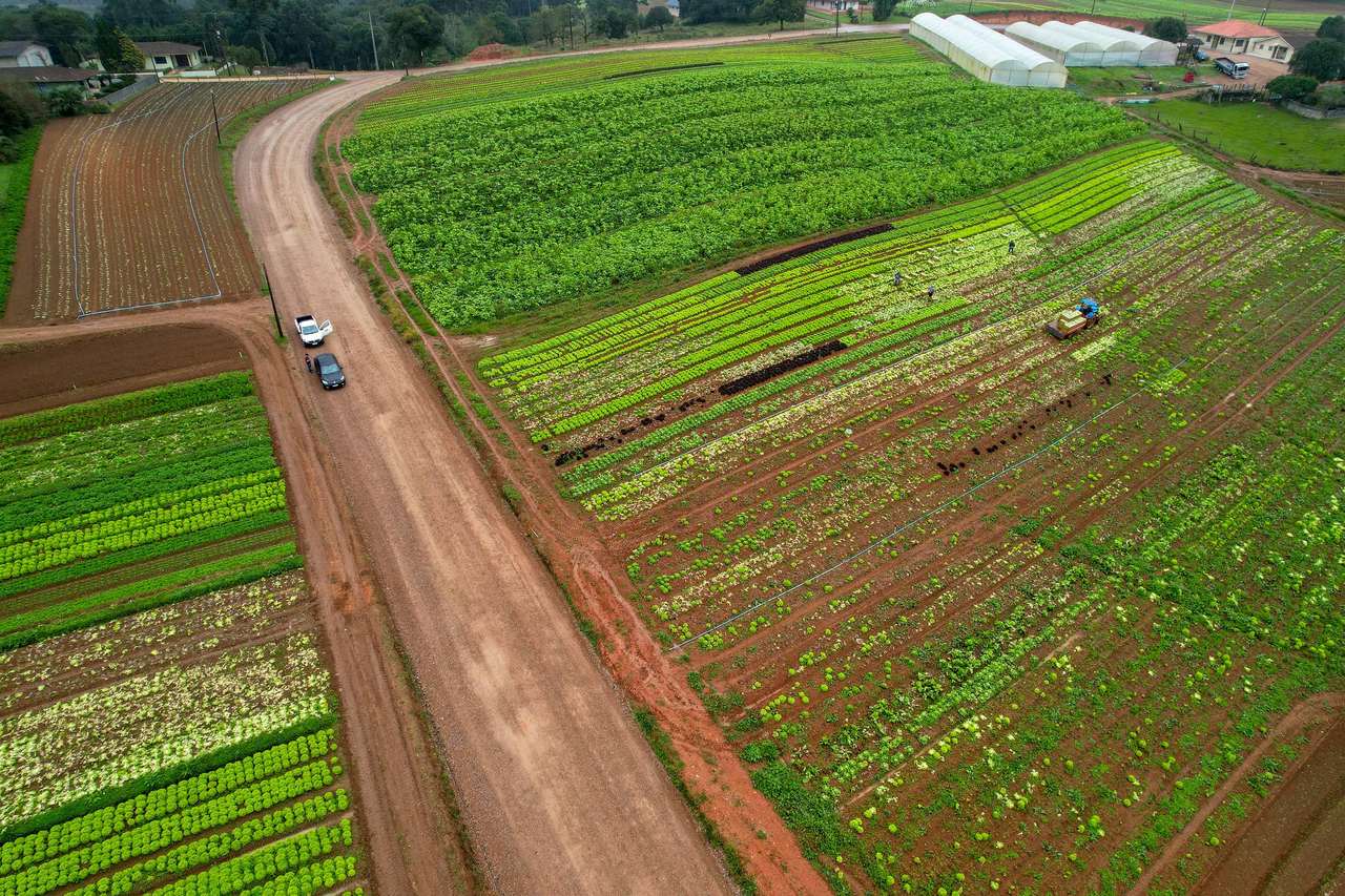 Pavimentação de estrada rural vai incentivar agricultura e turismo em ...