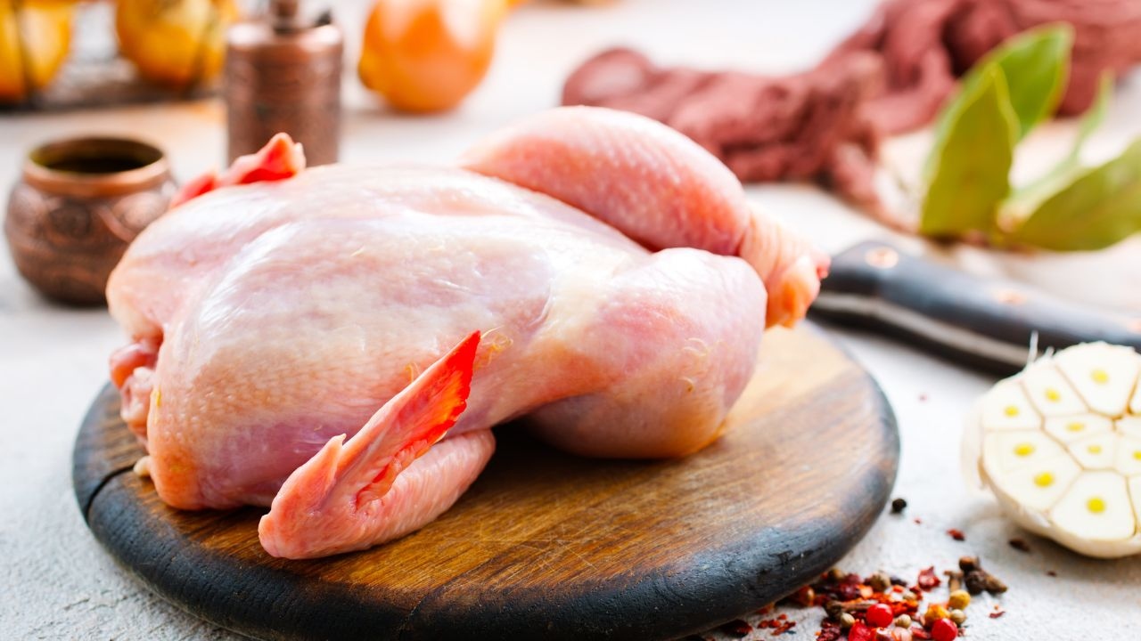 Mais frango brasileiro no mundo: ABPA registra aumento nas exportações ...