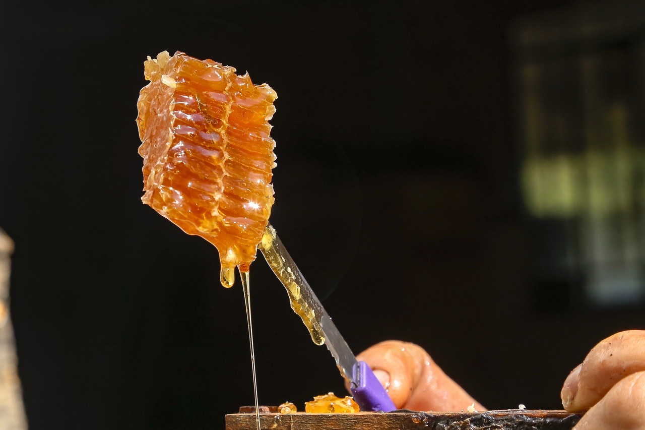 Descubra 7 mitos e verdades sobre o mel!