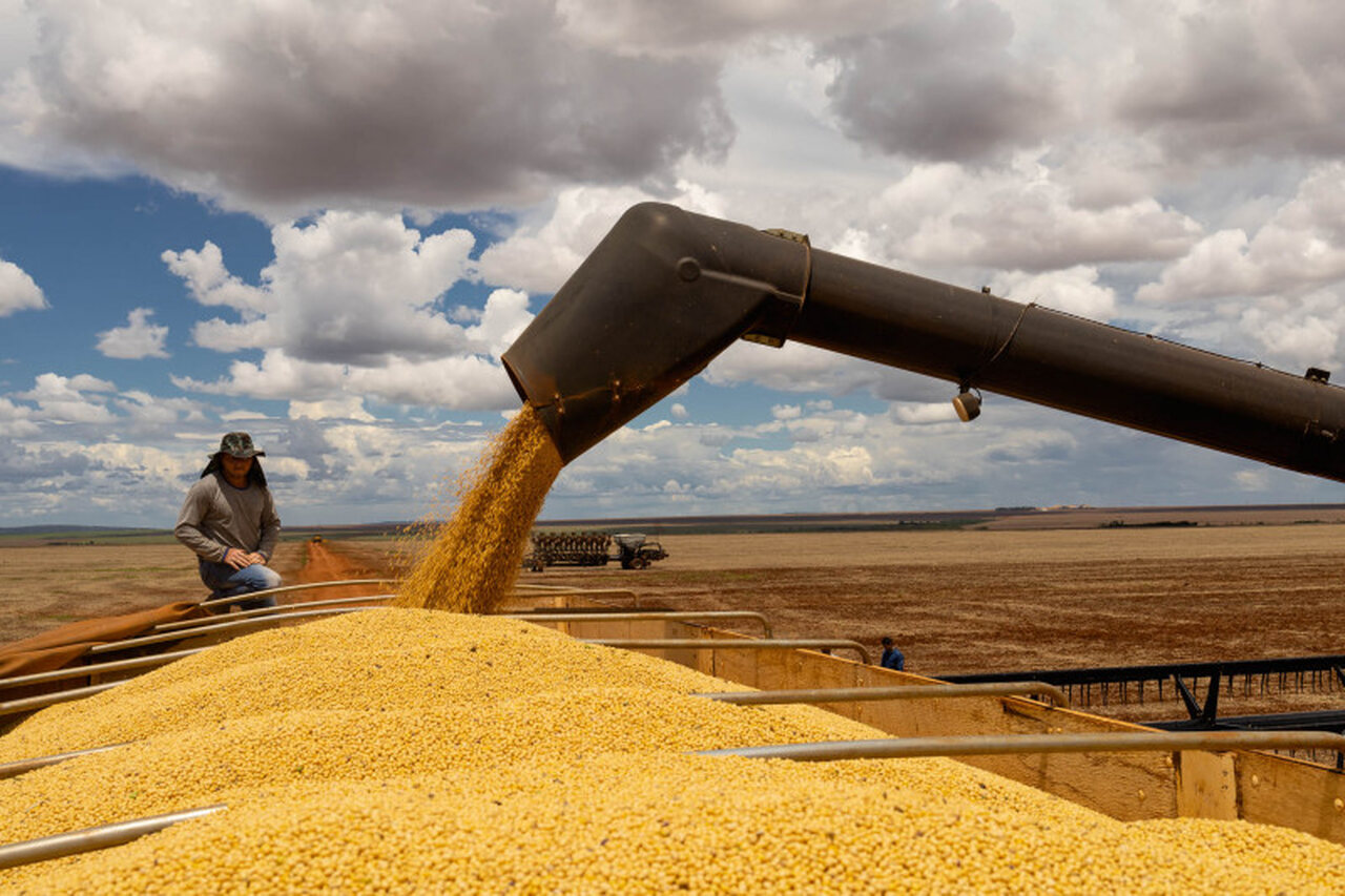 Maior demanda por soja eleva liquidez e prêmio de exportação no Brasil ...