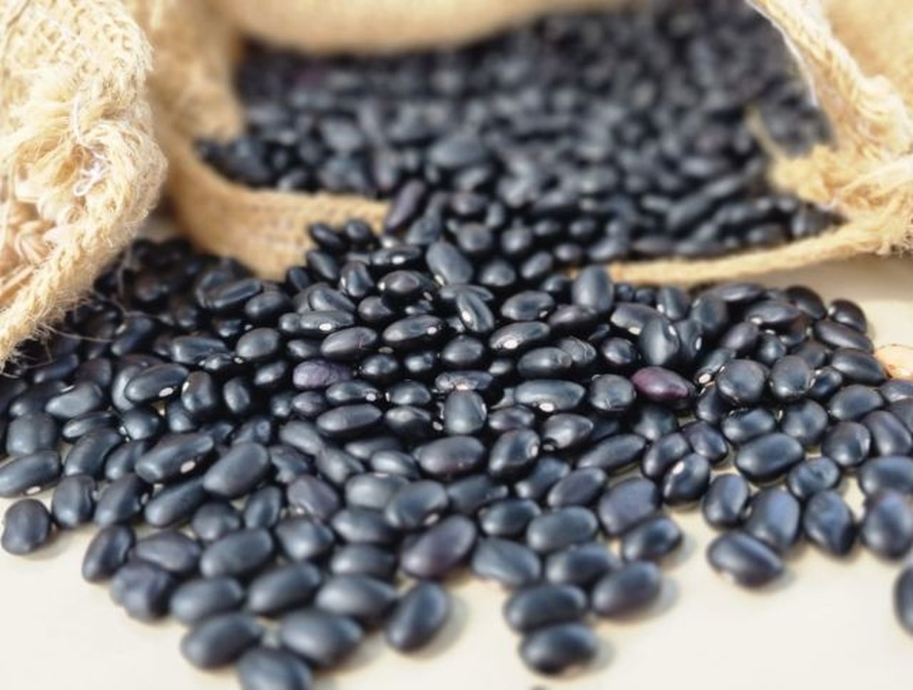 Cultivares de feijão desenvolvidos por pesquisadores alcançam alta ...